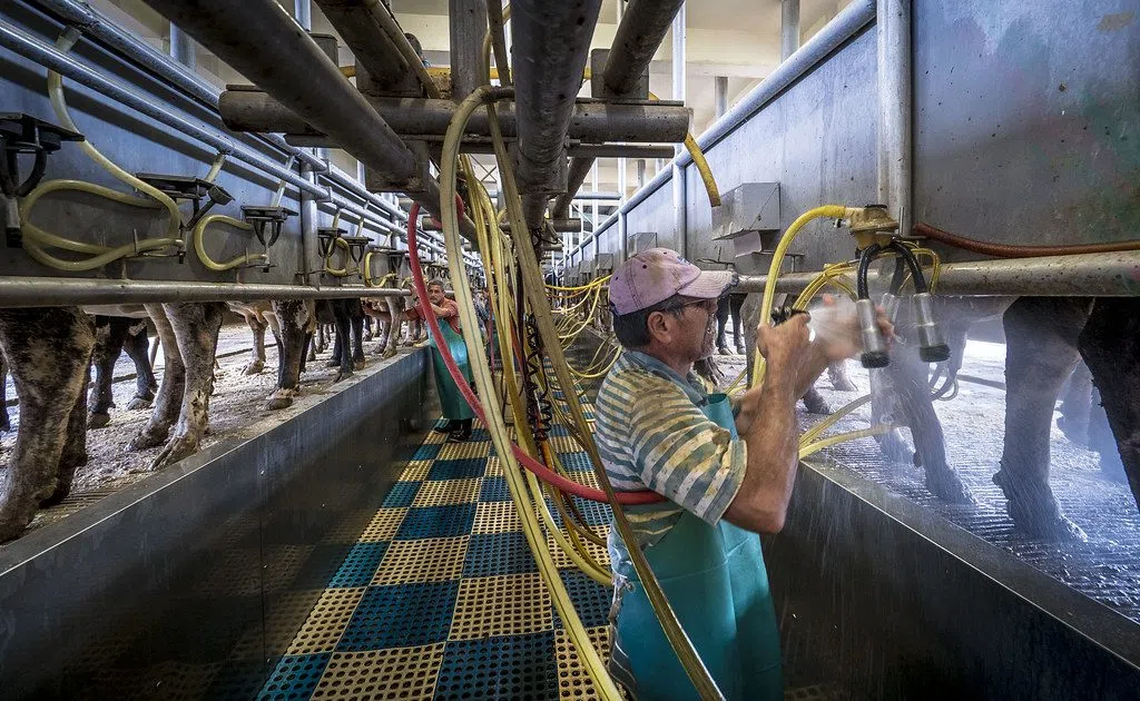 Dairy producers eager for next steps in USDA’s “Action Plan” on milk ...