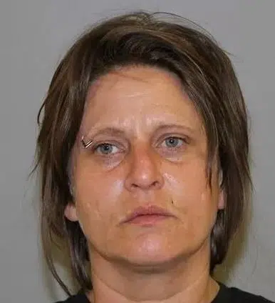 Oregon woman facing drug charges in Dickey County | 740 The FAN