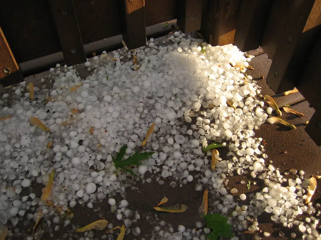 Video capture Grapefruit-sized hail smashing car windows in Canada | Y94