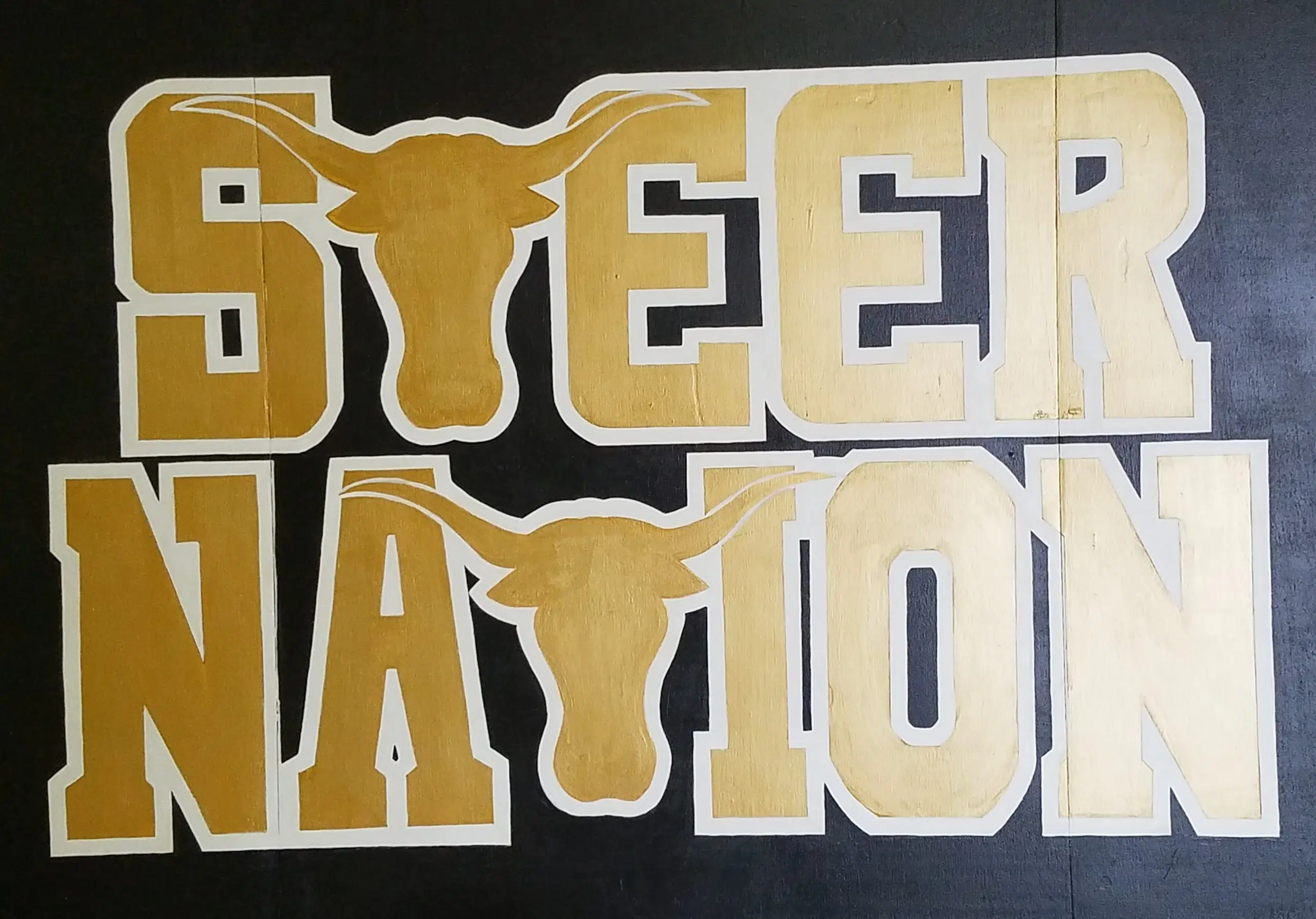 BSHS Students to continue Athletics and E-Sports at Collegiate Level ...