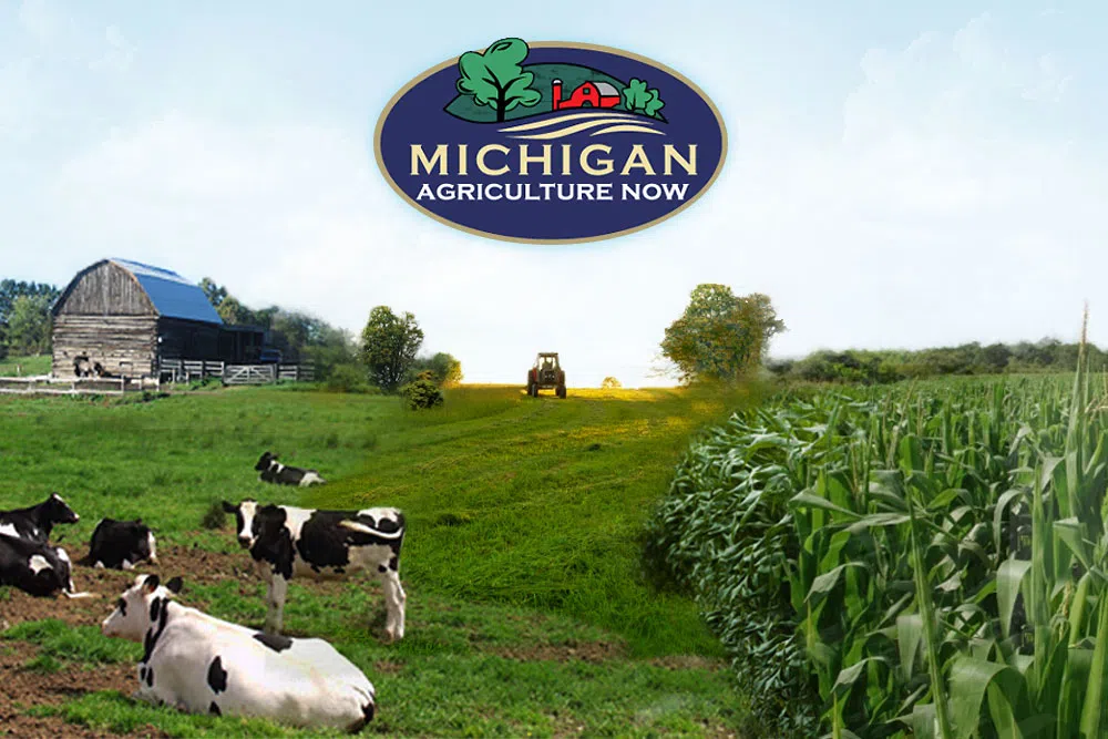 WTVB | 1590 AM · 95.5 FM | The Voice of Branch County