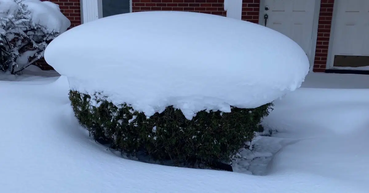 Record breaking snowfall totals recorded for weekend as West Michigan ...