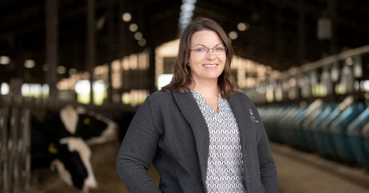 Dairy Innovation Hub releases third annual report | WSAU News/Talk 550 ...
