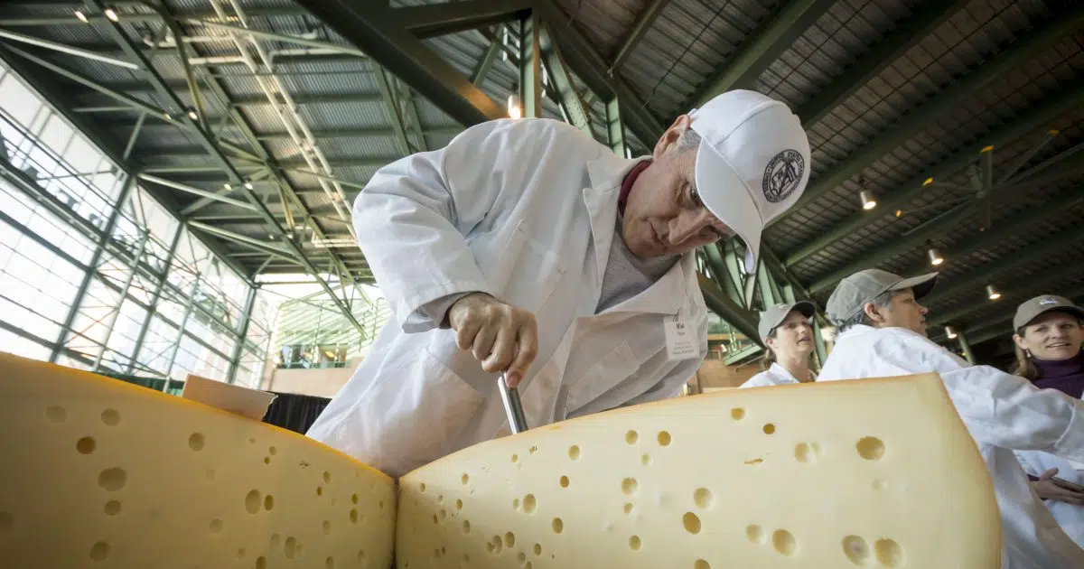 United States Championship Cheese Contest Kicks Off in Green Bay | 1330 ...