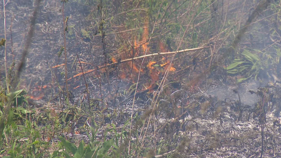 Fire Danger is High in Wisconsin’s Northwoods | 1330 & 101.5 WHBL