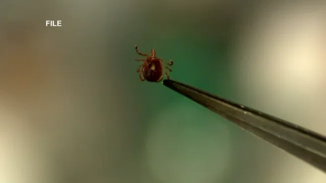 Tick Season in Wisconsin | WSAU News/Talk 550 AM · 99.9 FM | Wausau ...