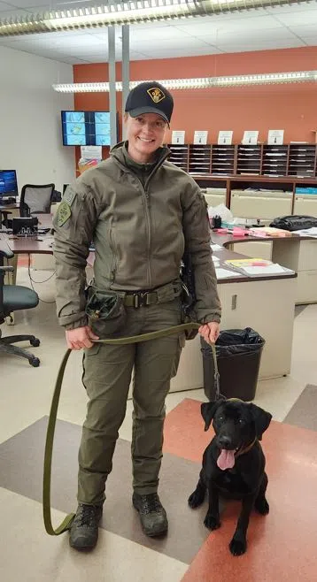 OPP Introduces New Canine Officer | Country 105