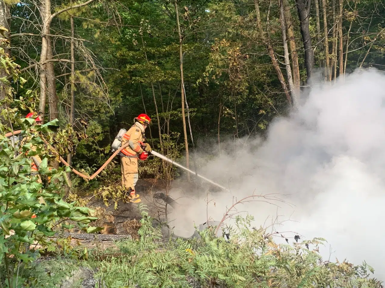 Small Structure Fire On Thretheweys Falls Road | Country 102