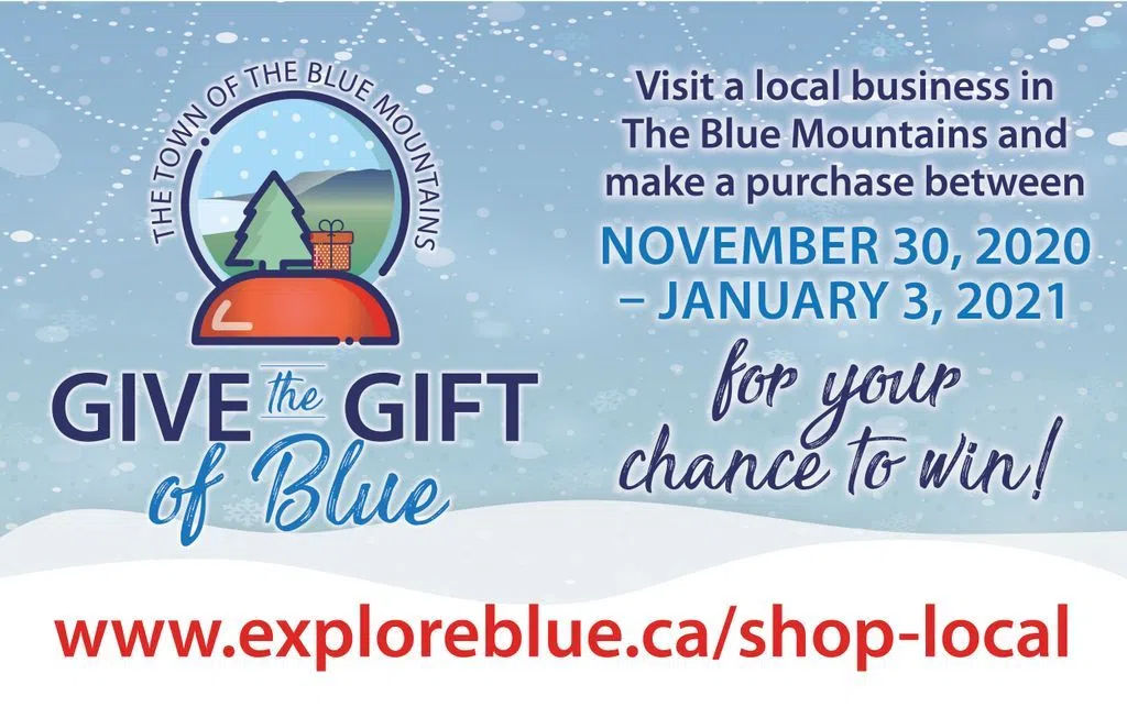 Give The Gift Of Blue and Possibly Win Prizes | Bayshore Broadcasting ...