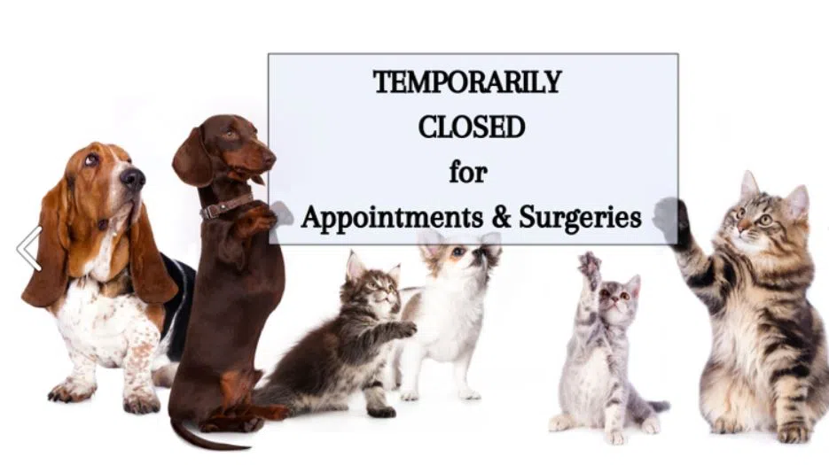 Covid Prompts Temporary Closure of Local Animal Hospitals | Country 102