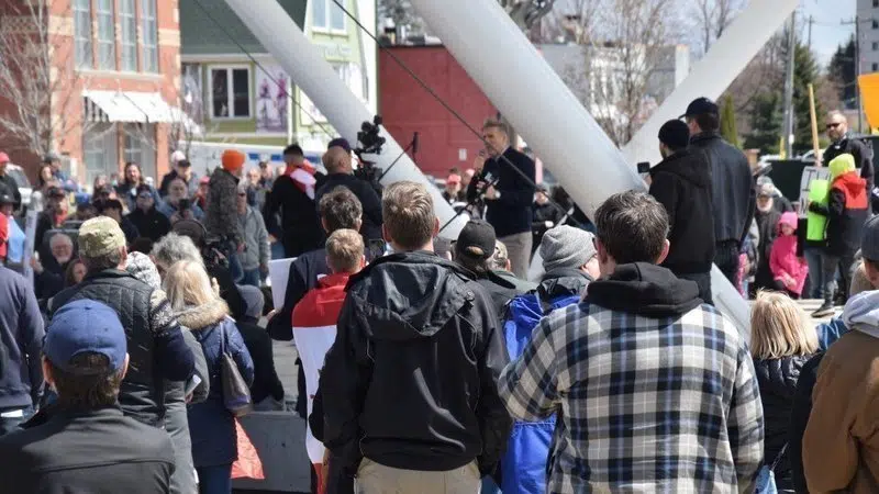 Online Petition Asks Barrie City Council To Shut Down Weekly Protests ...