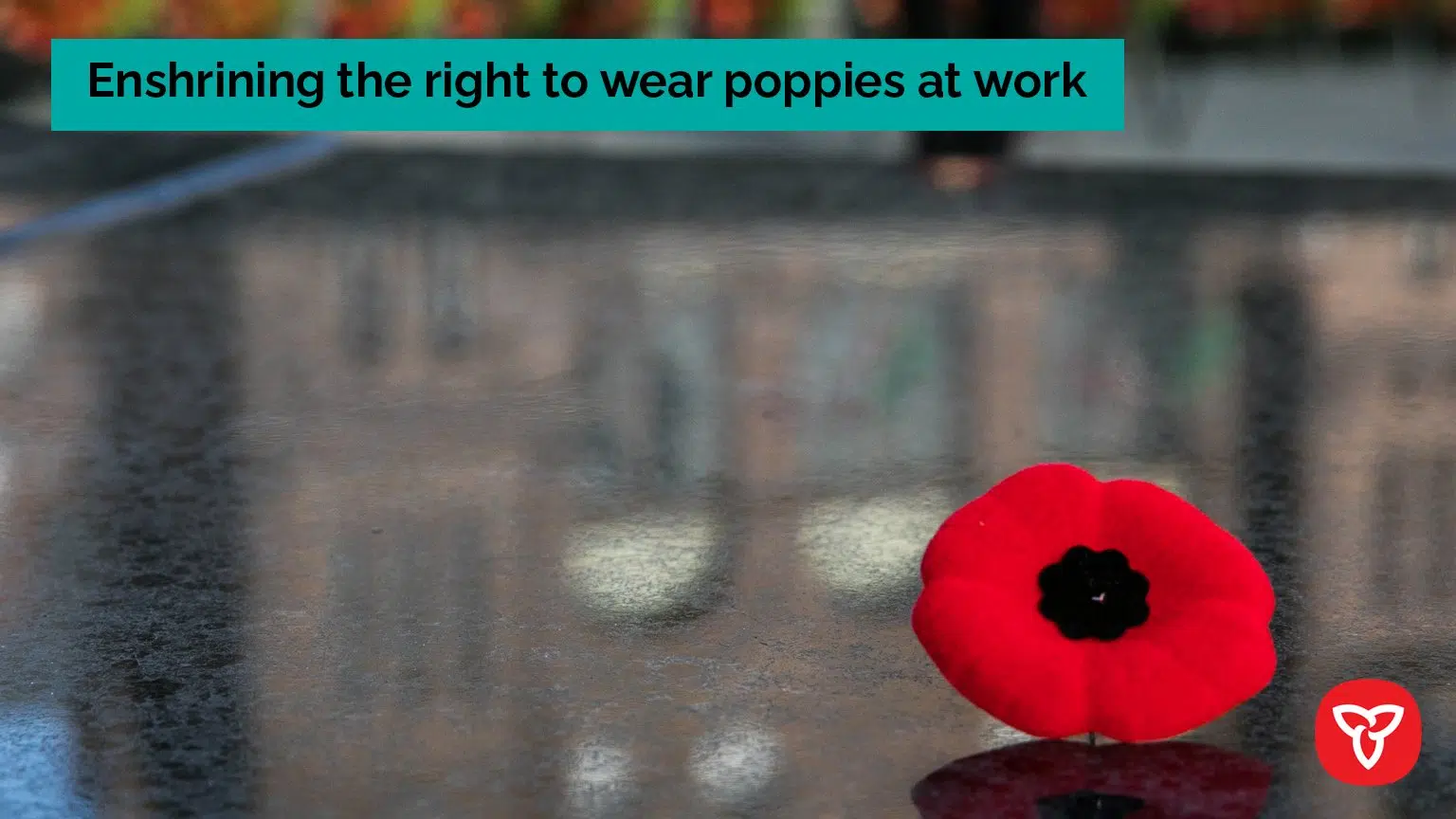 Ontario Enshrining the Right to Wear Poppies in the Workplace | 97.9 ...
