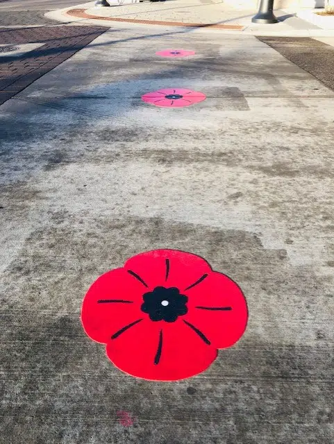 Barrie Unveils New Poppy Crosswalk Downtown | Bayshore Broadcasting ...
