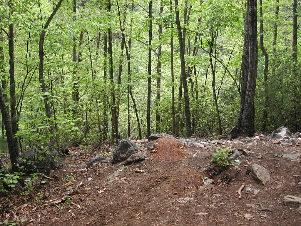 Bruce County Brant Tract To Temporarily Close In February For ...