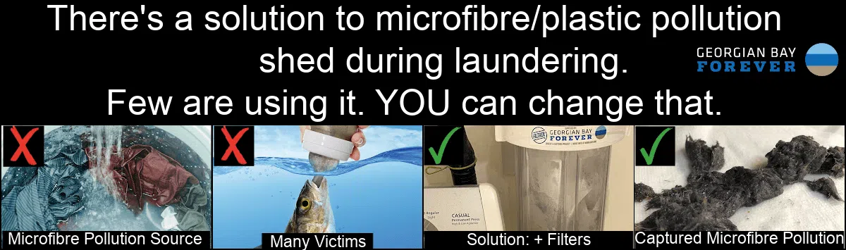 Free Community Webinar On Reducing Microfibre/Plastic Pollution In ...