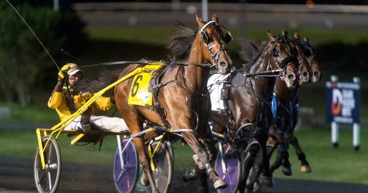 Hanover Raceway To Host Trevor Henry Day July 23rd | Country 93