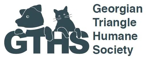 Kittypalooza to Return Amidst Capacity Crisis at the GTHS | Bayshore ...