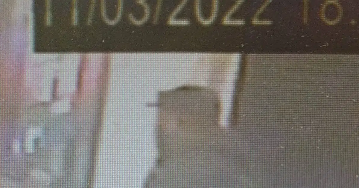 Grey Bruce OPP Seek Tips Following Fail To Remain Collision | Country 93