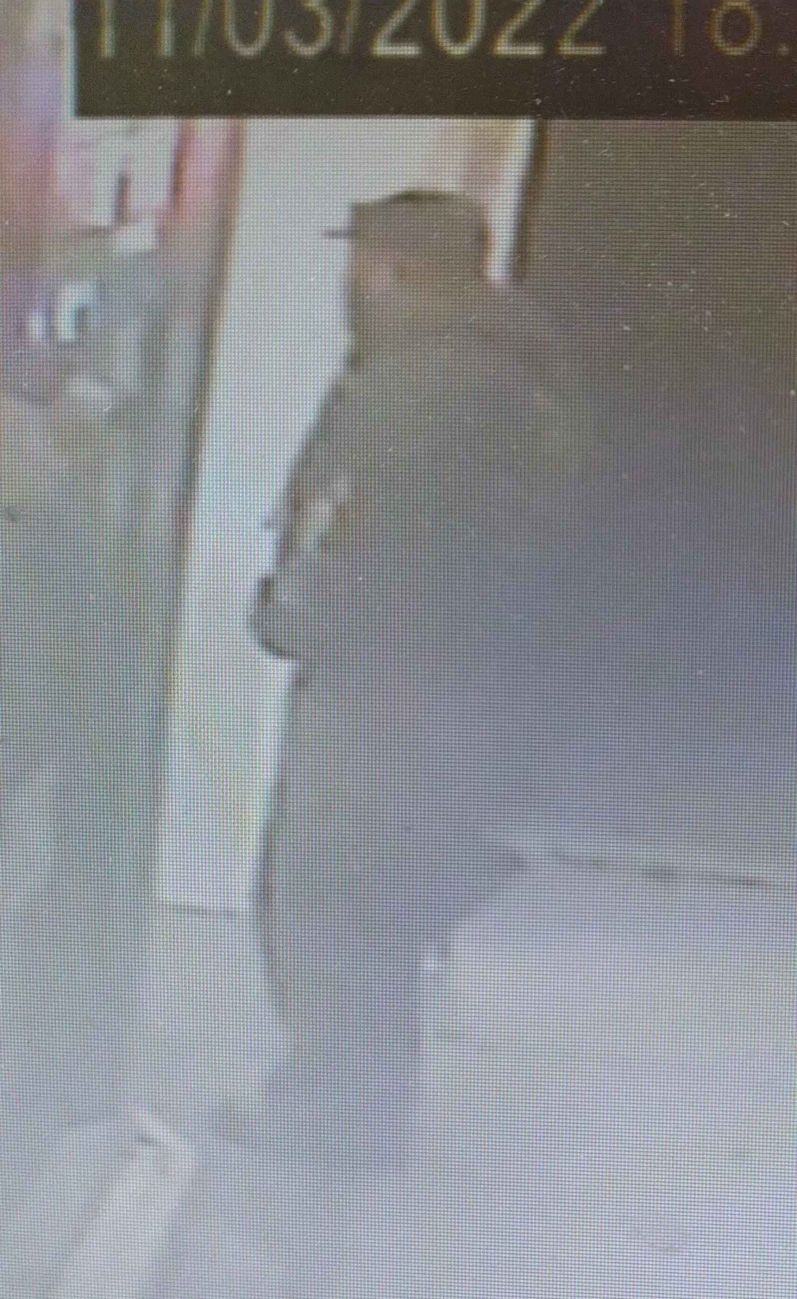 Grey Bruce OPP Seek Tips Following Fail To Remain Collision | Country 93