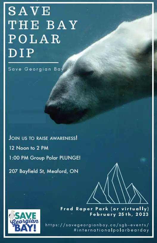 Volunteer Group To Hold Polar Dip In Meaford To Bring Attention To TC ...