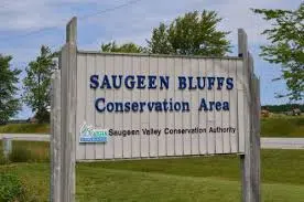 Bob Atkinson Memorial Meet Wednesday. Interview with Meet Convenor Neil ...