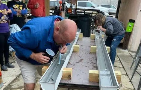 A brisk walk, minnow races and a live auction all part of fourth annual ...