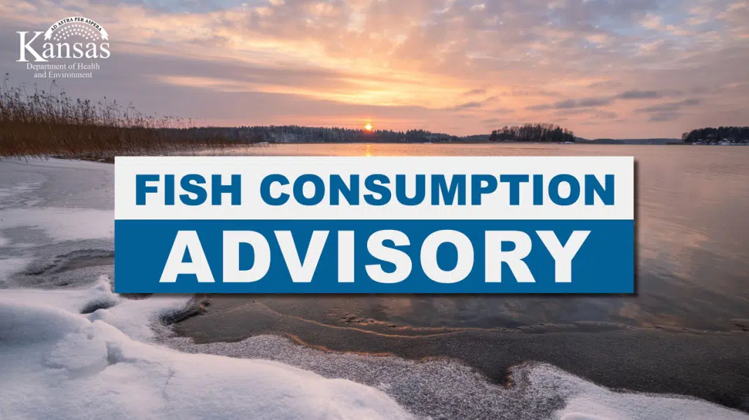 State of Kansas issues lengthy list of fish consumption advisories | KVOE