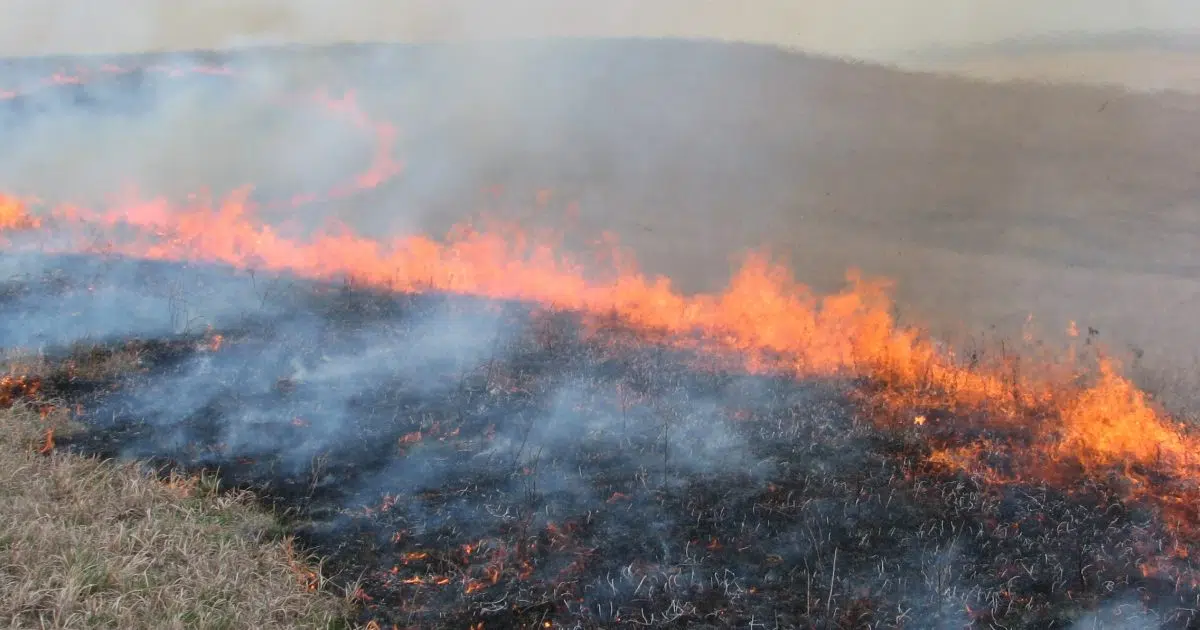 Prescribed burn season underway at Tallgrass Prairie National Preserve ...