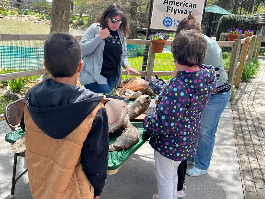 Party for the Planet activities focus on need for conservation | KVOE