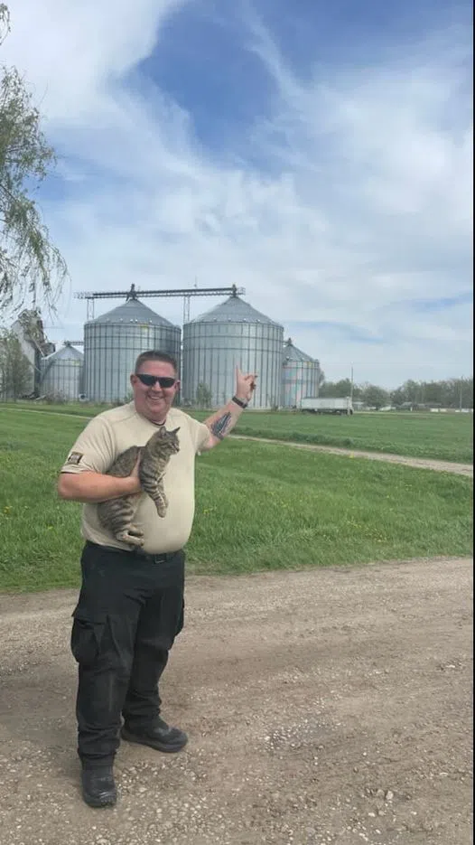 Sheriff uses catwalk to rescue cat on top of grain elevator | KTWB Big ...