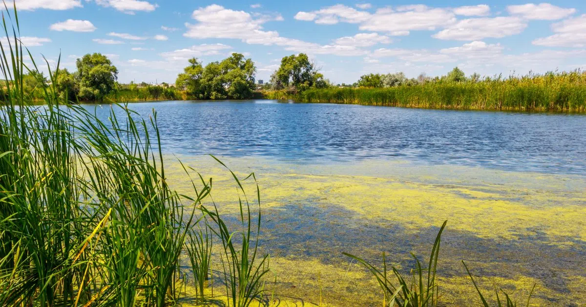 Going swimming? Be mindful of not-so-clean waterways | Sports Radio KWSN