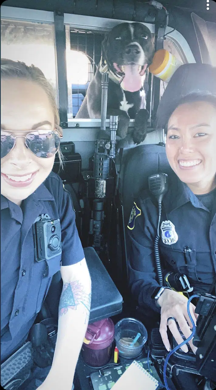 Sioux Falls police nab disorderly subject running in traffic | KELO-AM