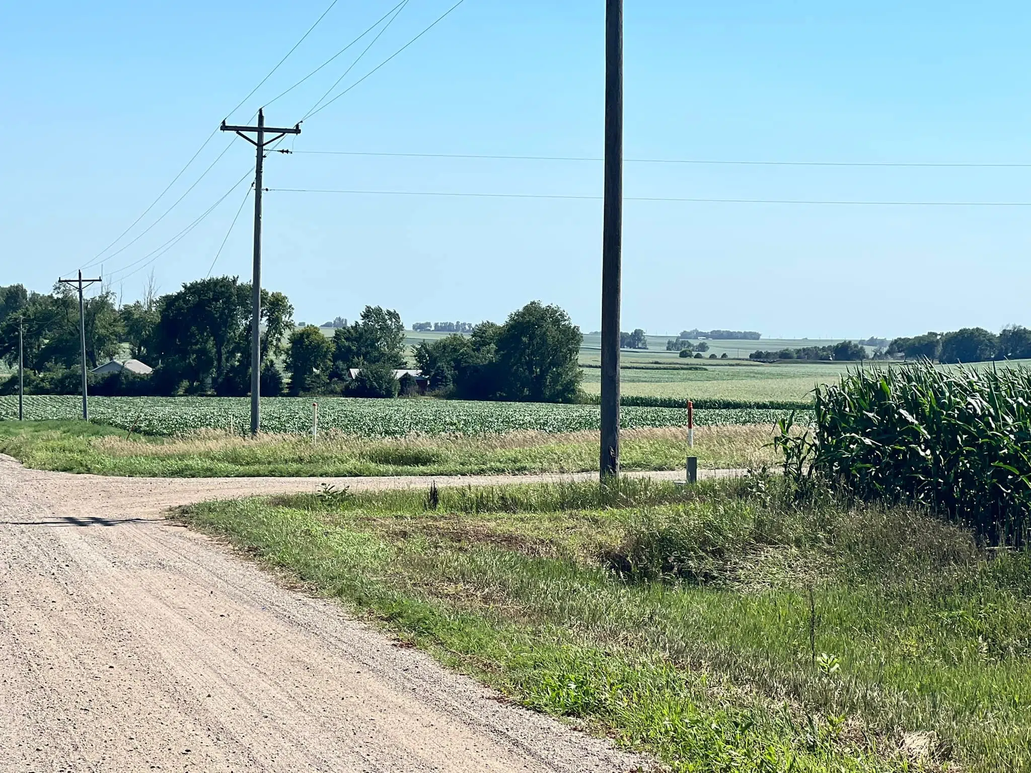 Sheriff’s office urging caution at rural intersections with high corn ...