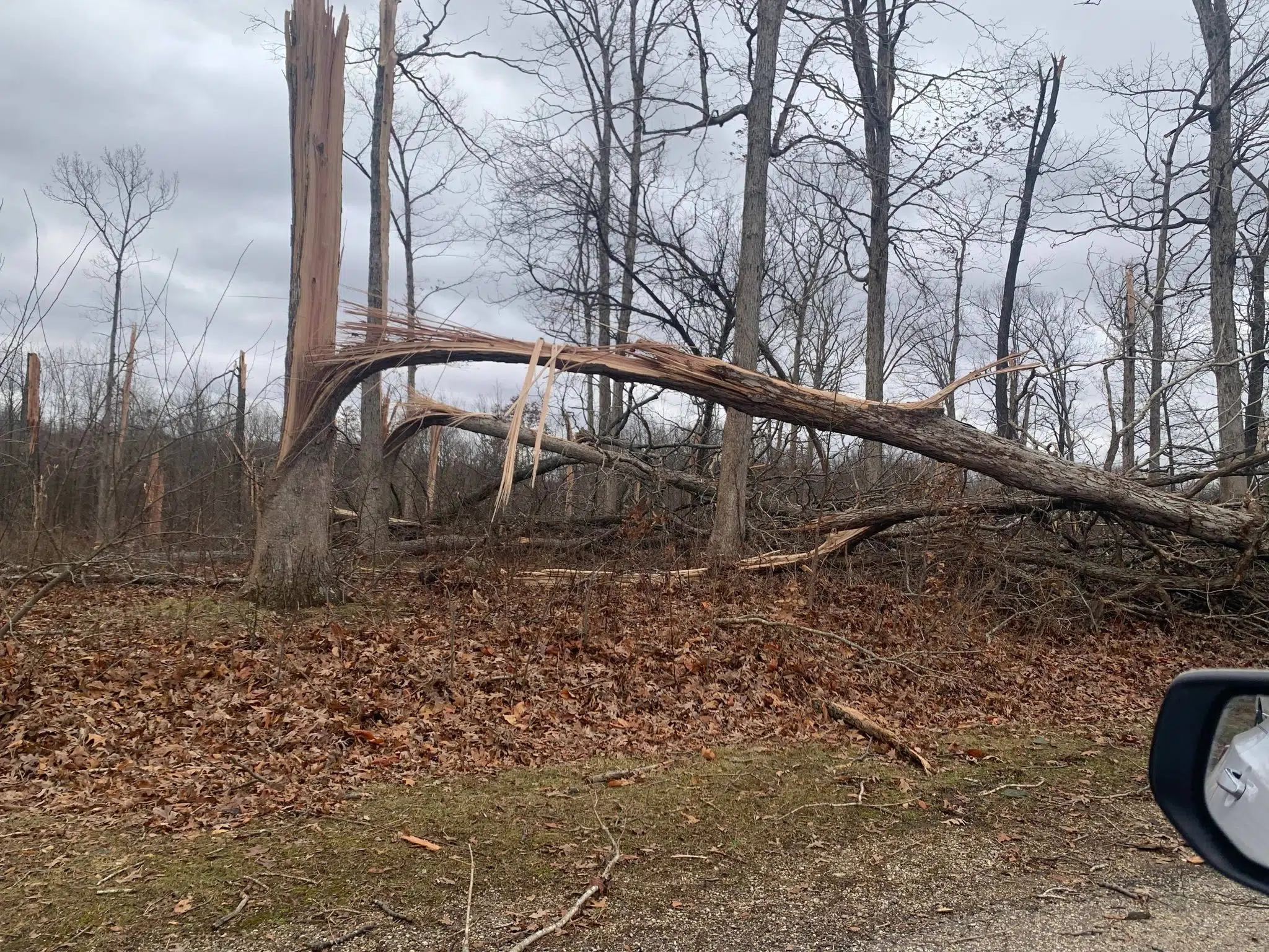Photos from last night’s Severe Storms and Tornado that rolled through ...