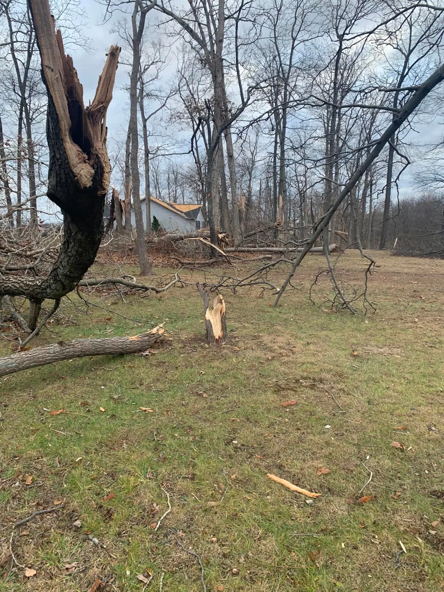 Photos from last night’s Severe Storms and Tornado that rolled through ...