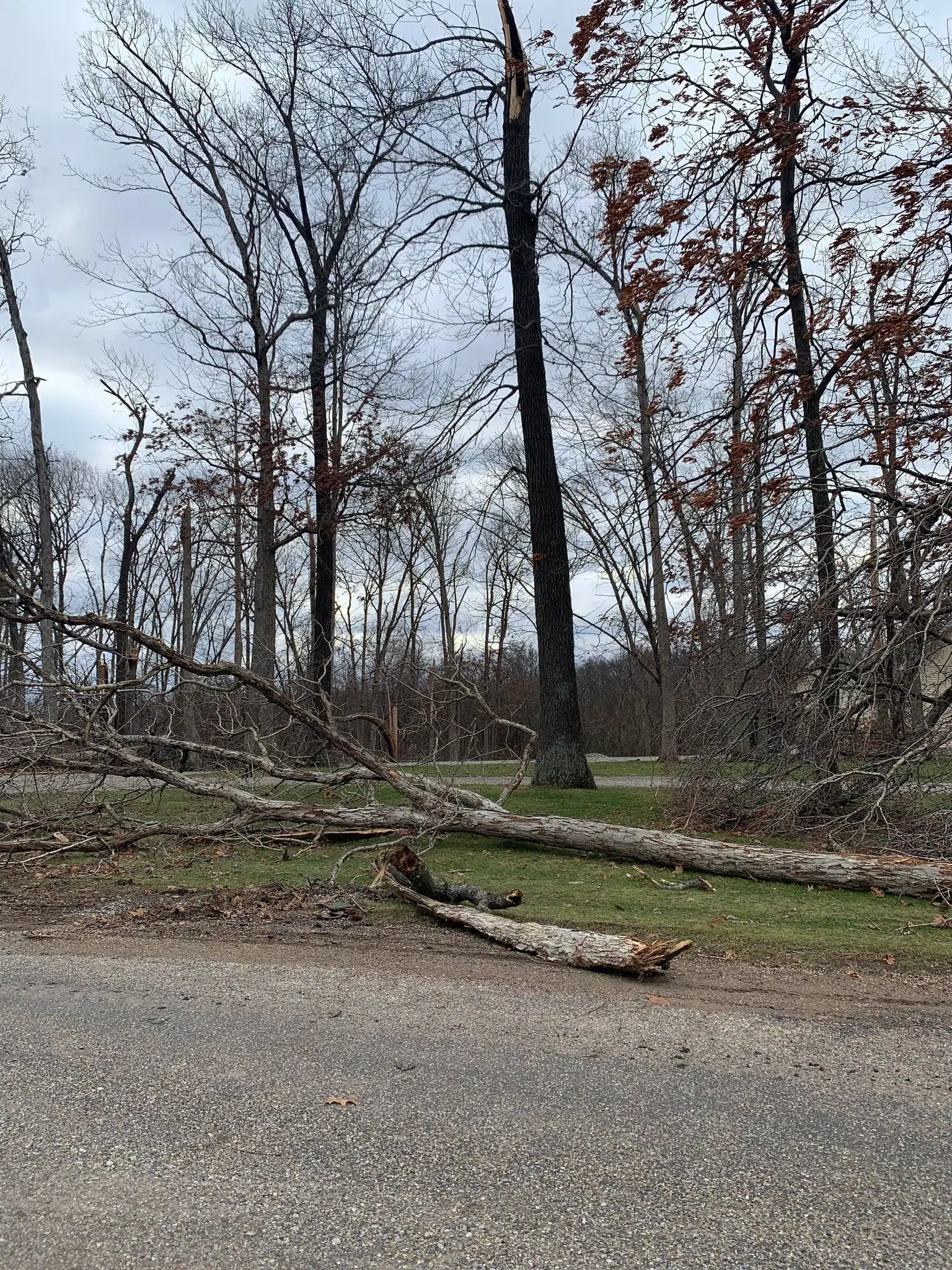 Photos from last night’s Severe Storms and Tornado that rolled through ...