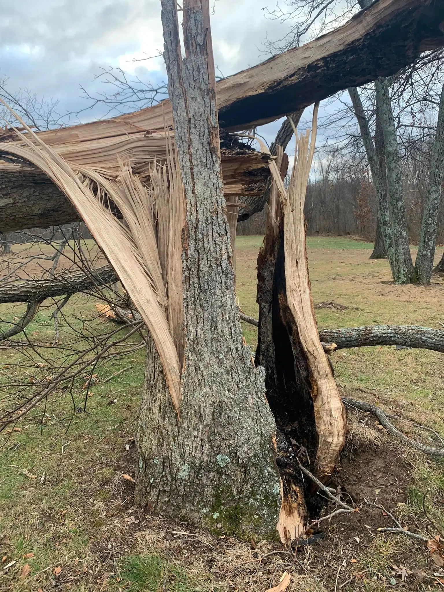 Photos from last night’s Severe Storms and Tornado that rolled through ...