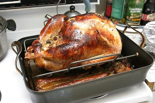 How To Cook A Turkey In The Microwave | MyRadioLink.com