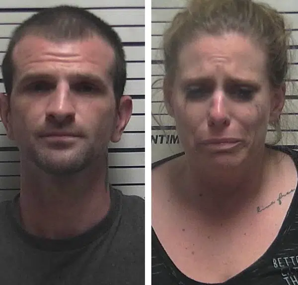 Undercover Operation Yields Drug Dealer Arrests | Effingham Radio