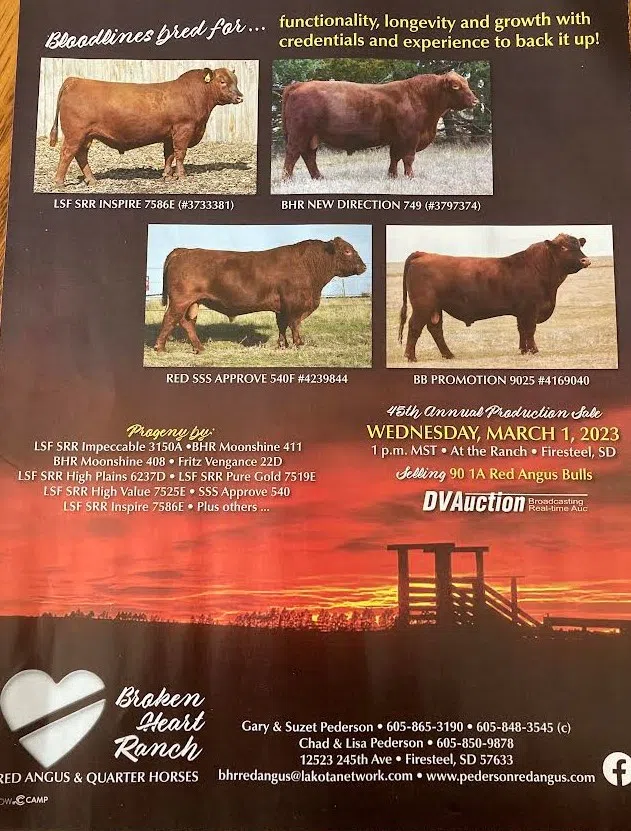 Broken Heart Ranch Production SAle | DRGNews