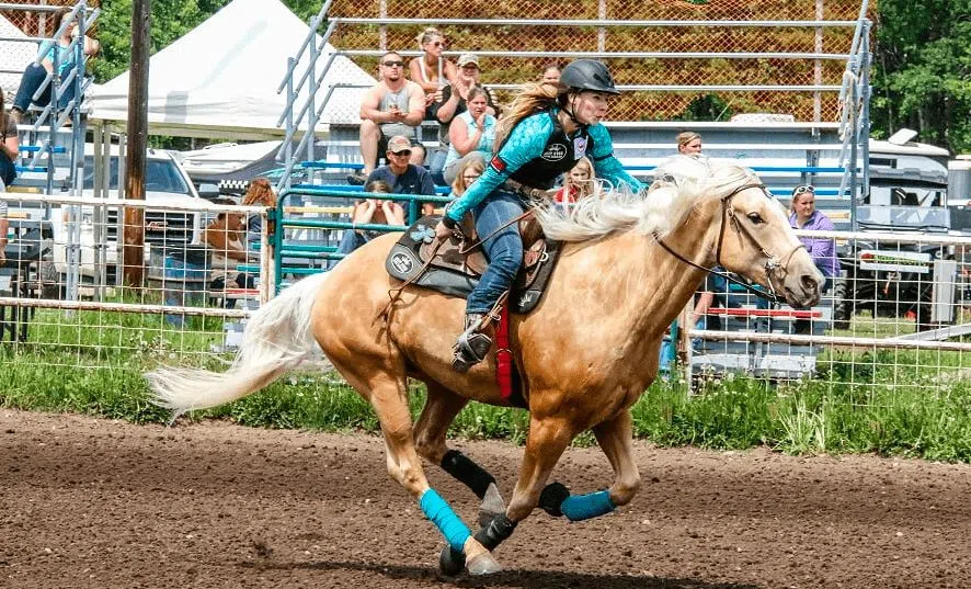 Local barrel racer looking for sponsors to help send her to Vegas ...