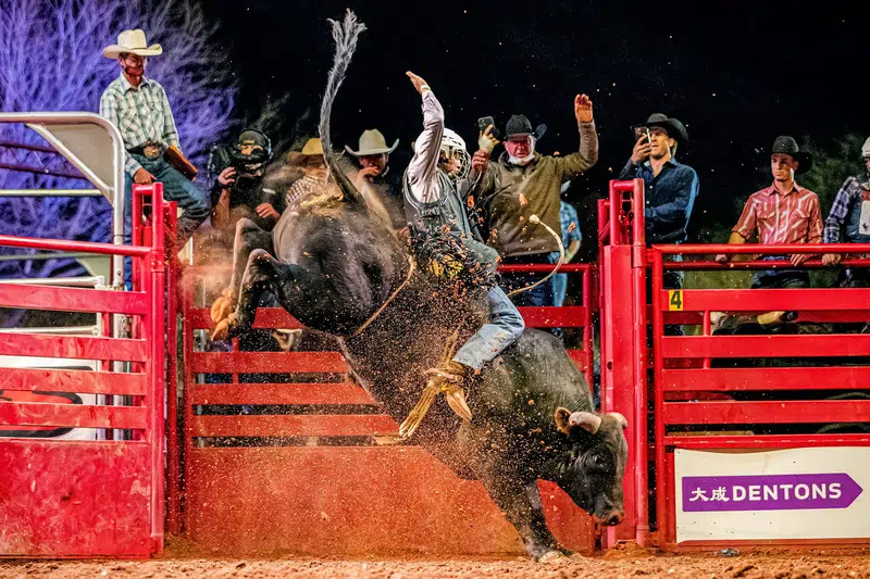 Bullriders, bullfighters to stir up the dirt at Nebraska State Fair ...