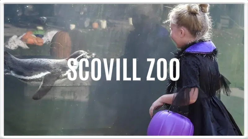 Scovill Zoo | justaroamaway.com