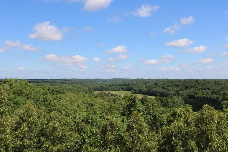 The Best Places to See Fall Color in Vermilion County | Vermilion ...