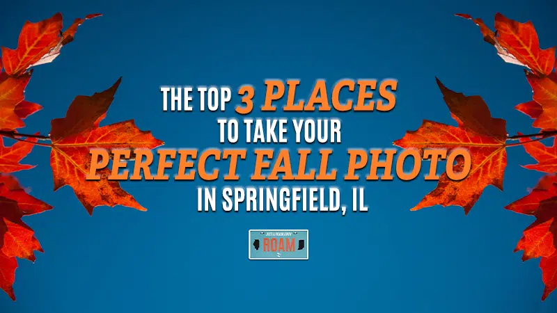 The Top 3 Places to Take Your Perfect Fall Photo in Springfield ...