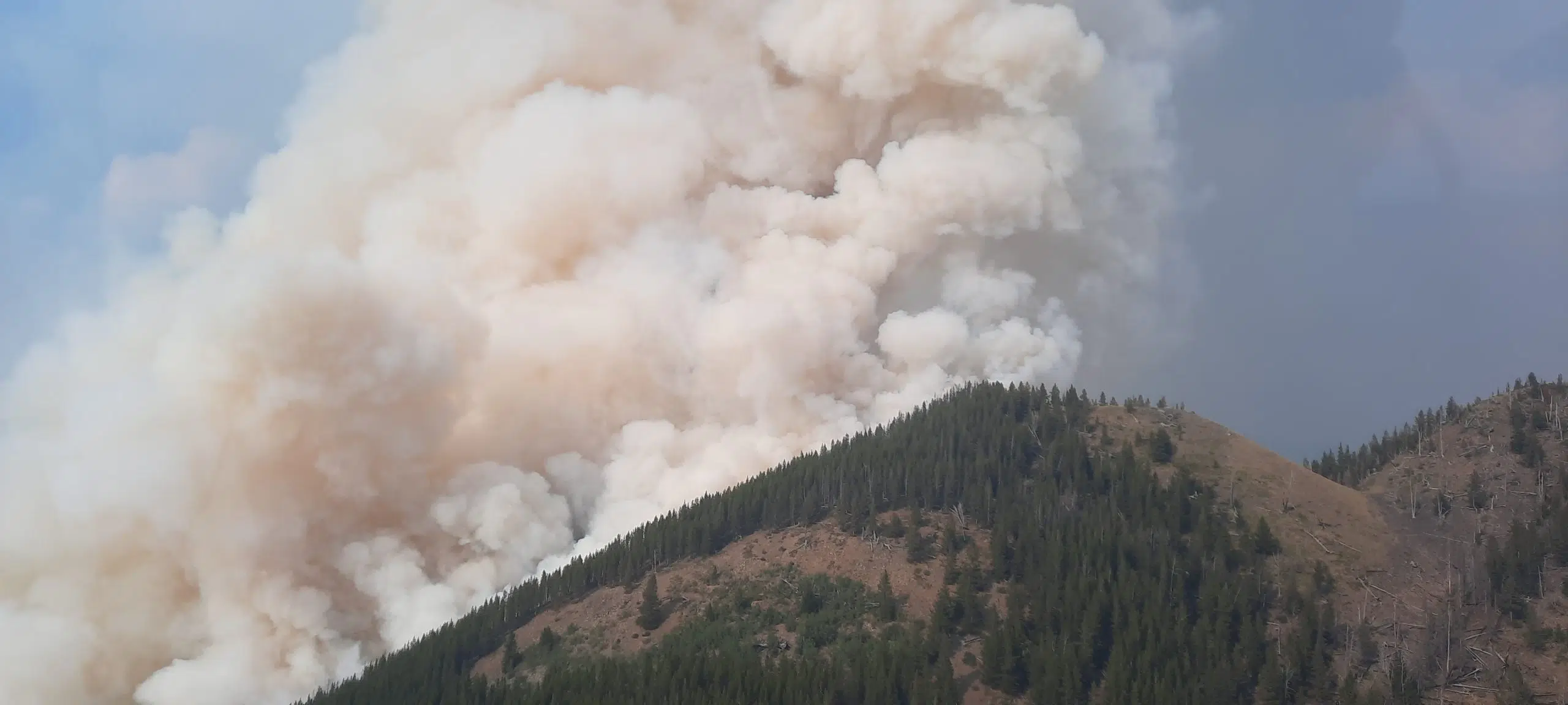 BC Wildfire Service predicts increased fire risk as temperatures climb ...