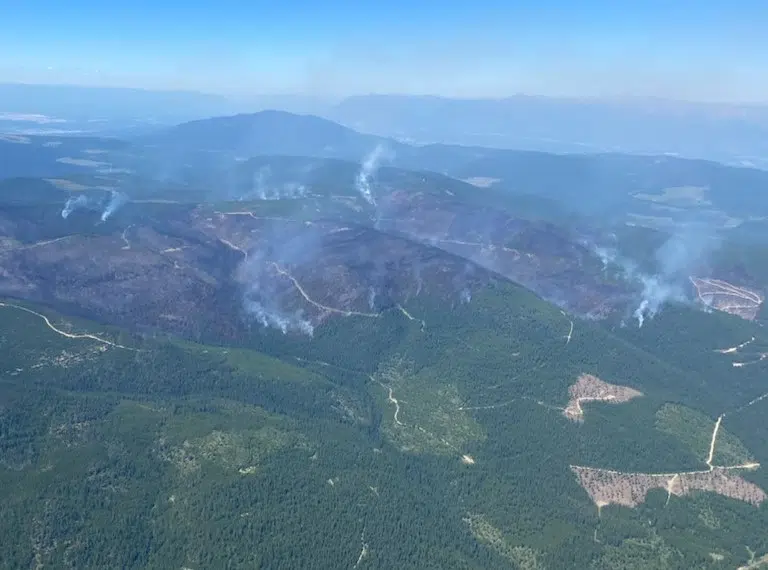 BC Wildfire Service adds two more East Kootenay blazes to list of ...