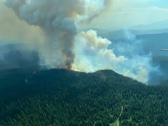 Connell Ridge wildfire south of Cranbrook pegged at 150 hectares | 102. ...