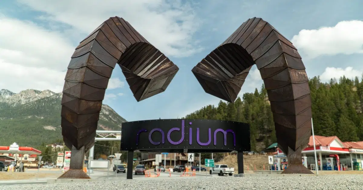 Municipal Election 2022 Preliminary Results – Radium Hot Springs | Wild ...