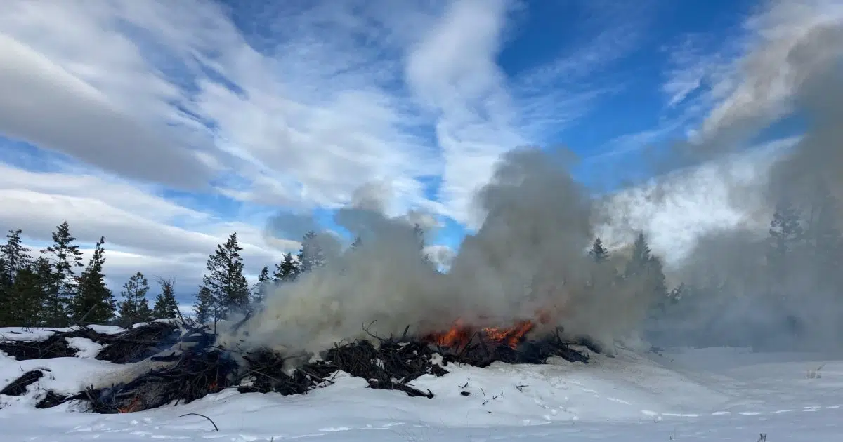Firefighters monitoring burning project in Cranbrook | Wild 104.7 ...